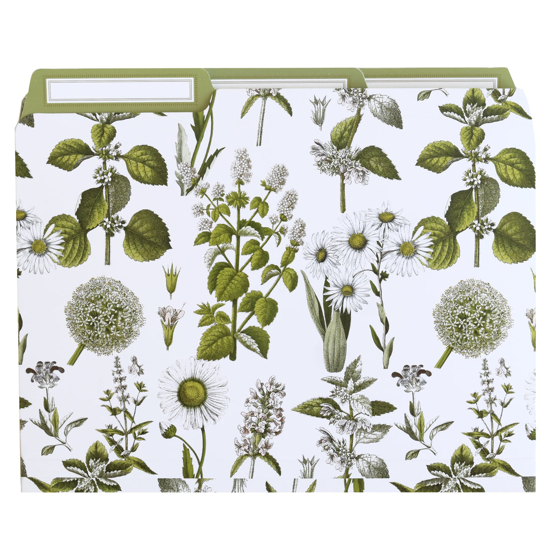 Botanical File Folders – Anna Griffin Inc.